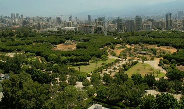 IMLebanon | الحشرات تقفل حرج بيروت!