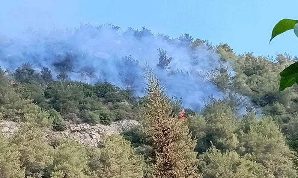 IMLebanon | بالفيديو: حريق في أحراج عيون السمك